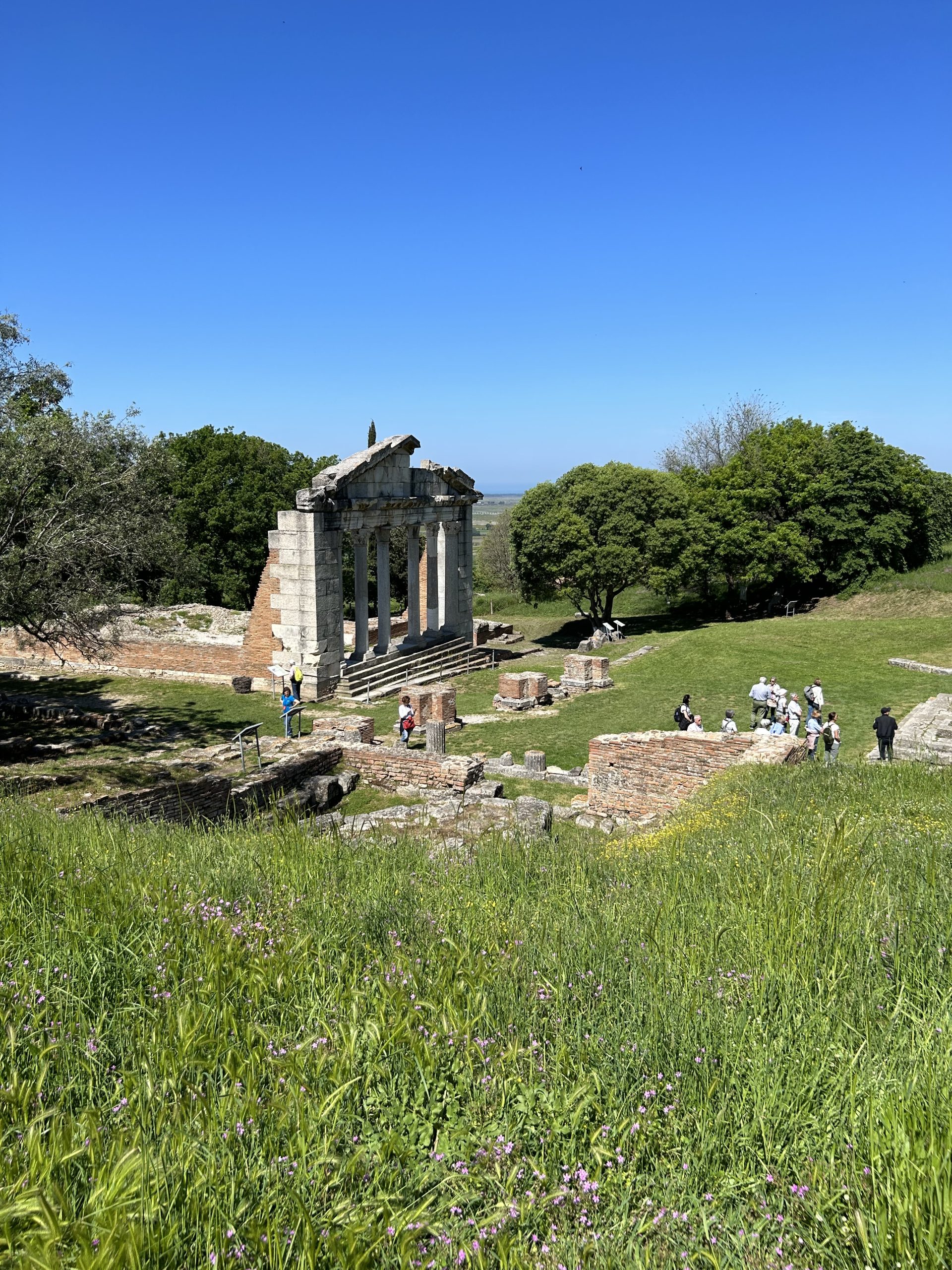 Day tour of Apollonia, Vlore, and Narta from Tirana&Durres - See Trips