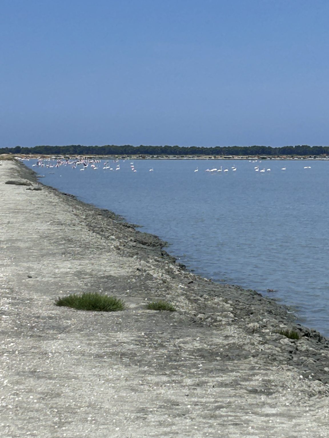 Day tour of Apollonia, Vlore, and Narta from Tirana&Durres - See Trips