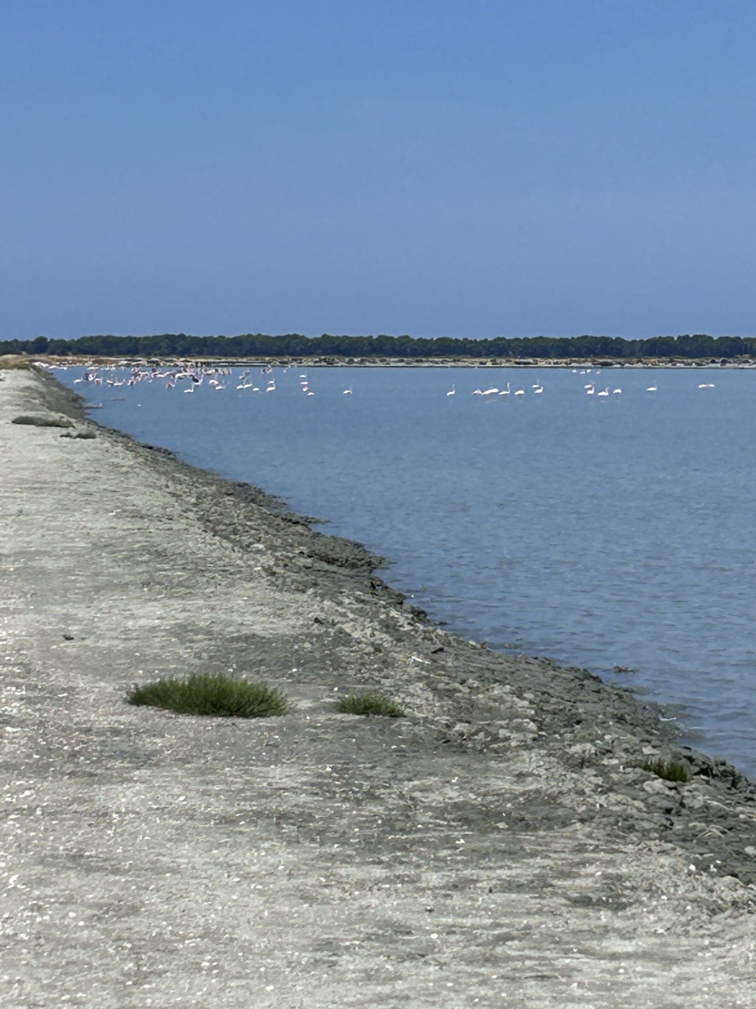 Day tour of Apollonia, Vlore, and Narta from Tirana&Durres – See Trips